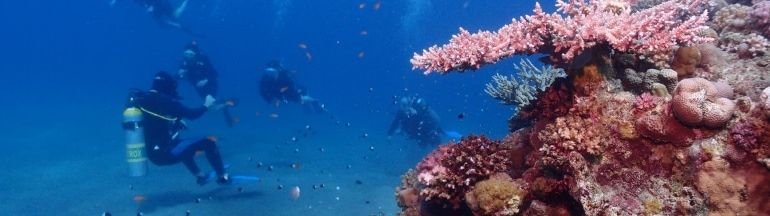 Buceo en Maldivas: el paraíso, también bajo el agua | Bloudit